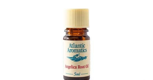 Angelica Root Essential Oil 5ml | Atlantic Aromatics