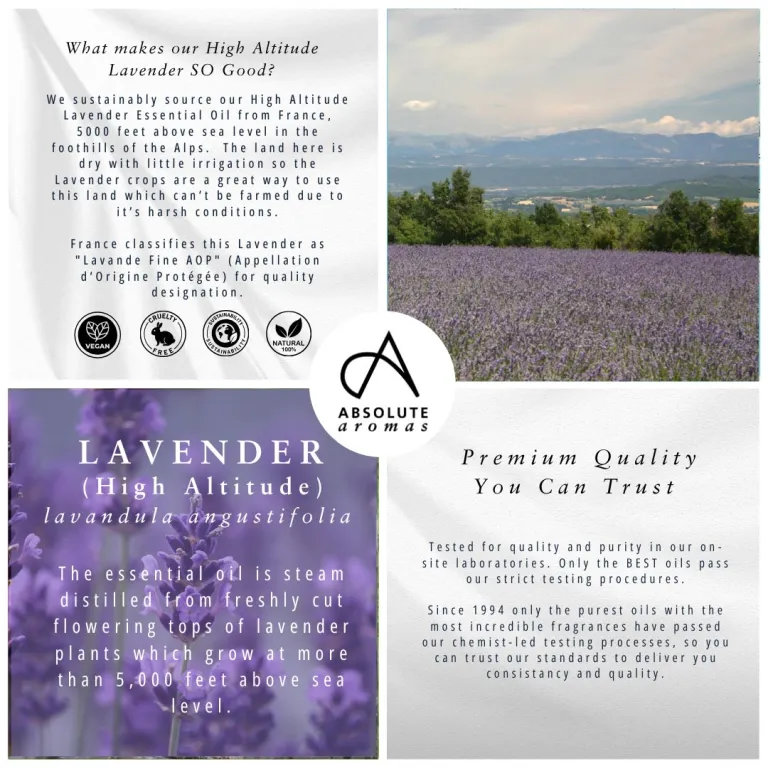 Absolute Aromas Lavender High Altitude 10ml | Irish Pharmacy