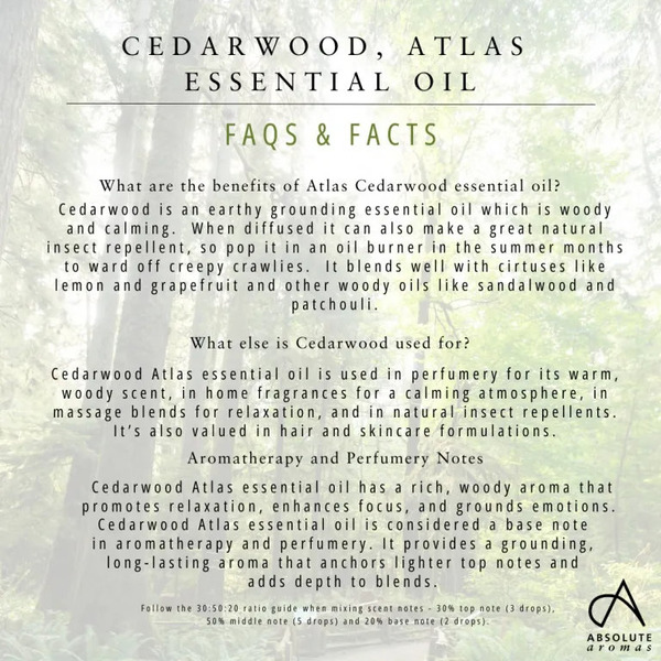 Cedarwood Atlas Essential Oil 10ml | Absolute Aromas