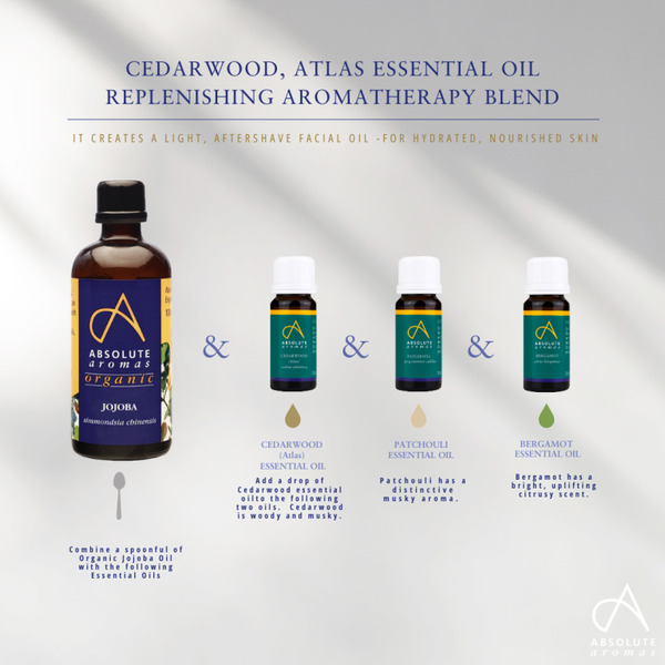 Cedarwood Atlas Essential Oil 10ml | Absolute Aromas