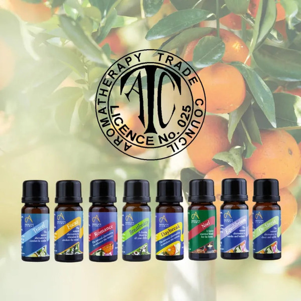 Absolute Aromas Noel Blend 10ml | Irish Pharmacy