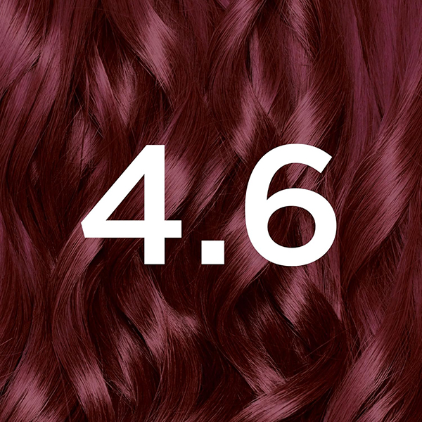 Garnier Nutrisse 4.6 Deep Red 1