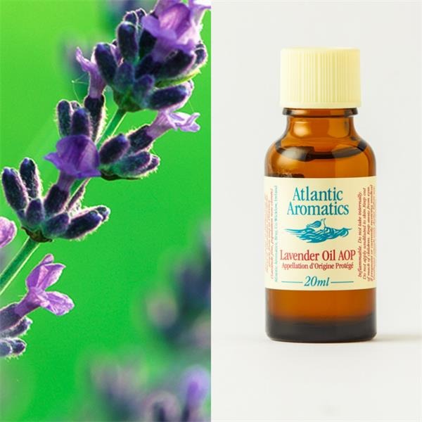 Lavender AOC Essential Oil 50ml | Atlantic Aromatics